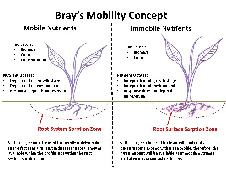 Brays Mobility Concept Immobile Nutrients Mobile Nutrients Indicators