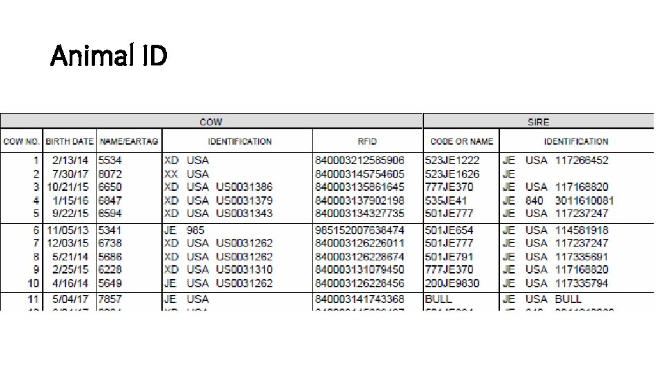 Animal ID Usability Edits Corrections and Moving Forward