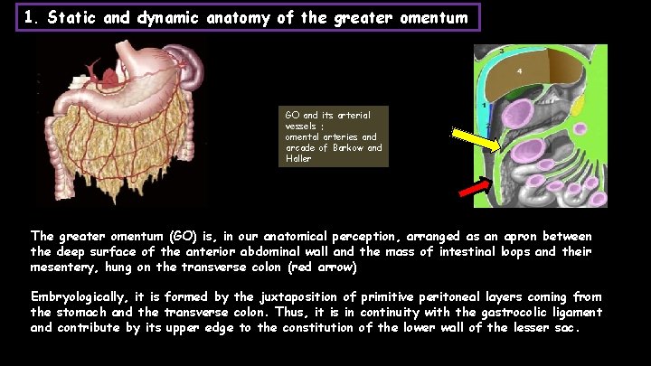 Classical and hidden faces of the greater omentum
