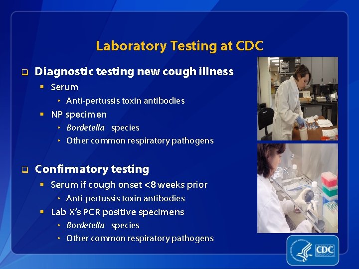 Pseudooutbreak of pertussis attributable to false positive PCR
