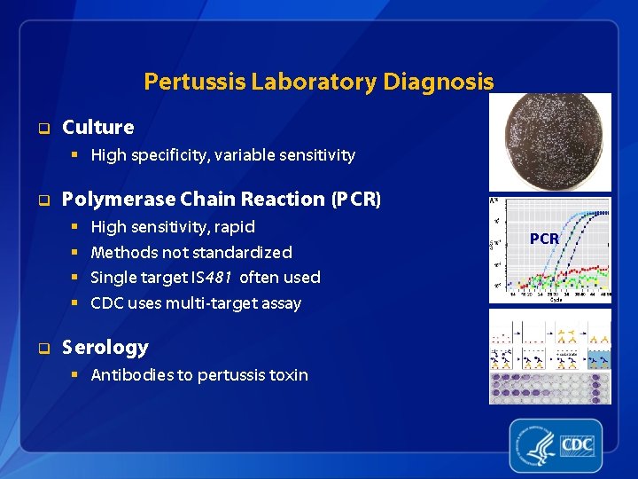 Pseudooutbreak of pertussis attributable to false positive PCR