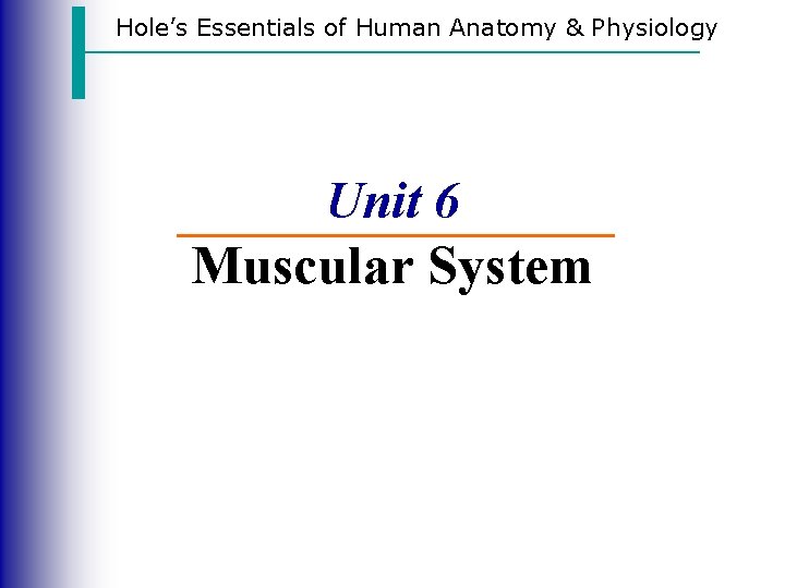 Holes Essentials of Human Anatomy Physiology Unit 6