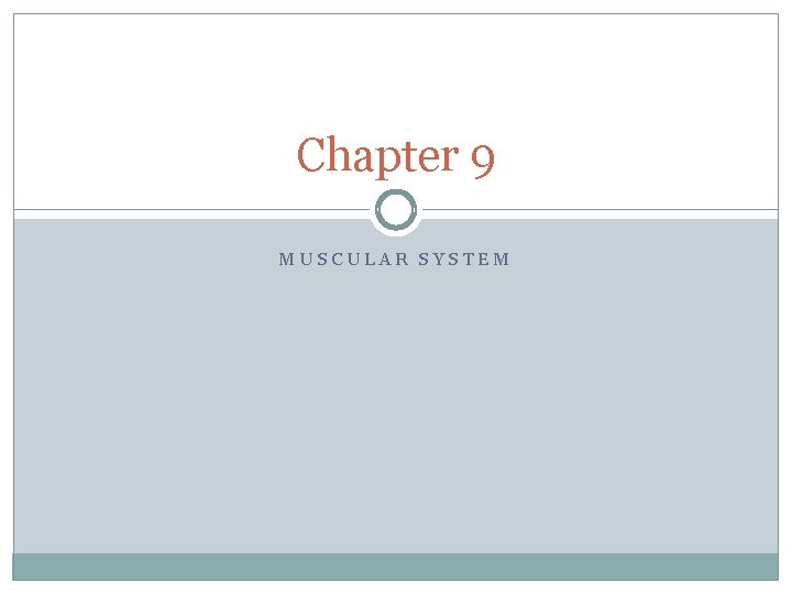 Chapter 9 MUSCULAR SYSTEM Functions of the Muscular
