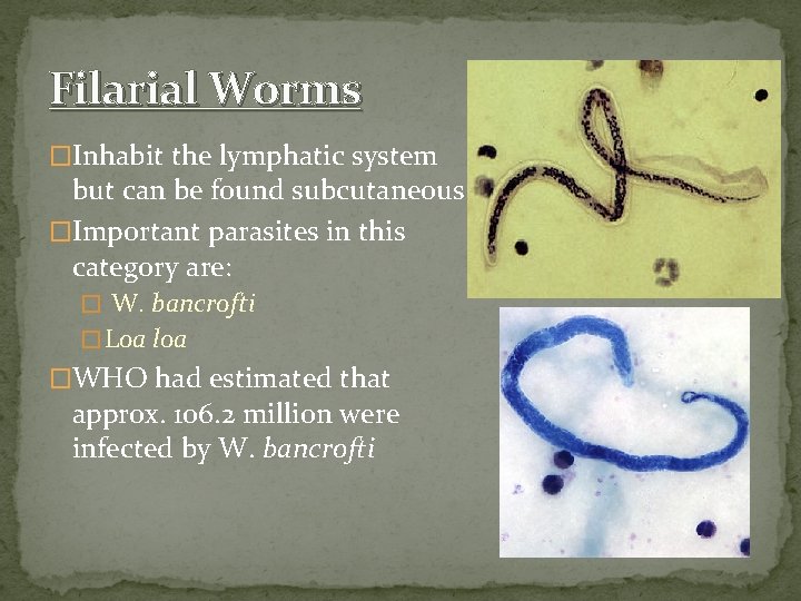 Parasites Hookworm Filarial Worm Hookworm 2 main types