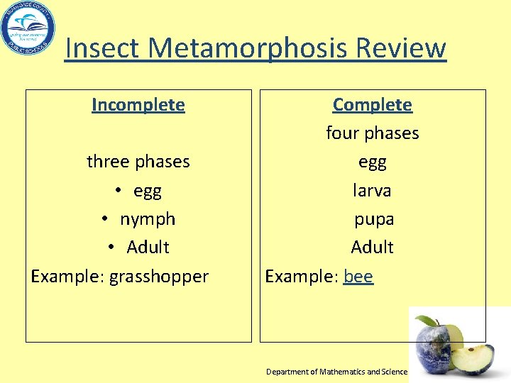 Big Idea 16 Heredity Reproduction Life Cycles of