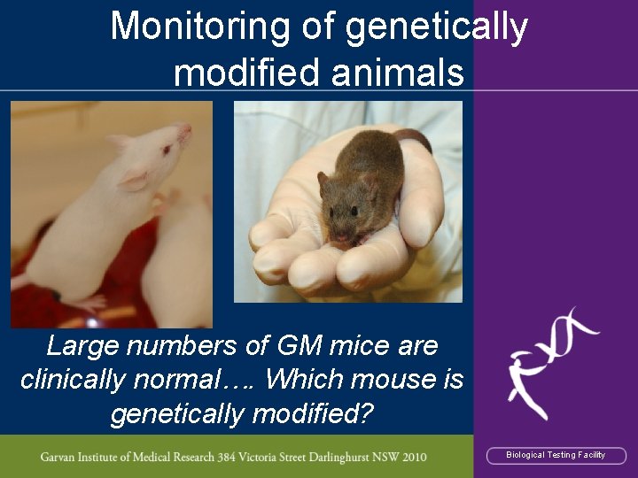Monitoring of genetically modified animals Biological Testing Facility