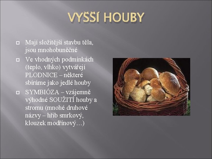 VY HOUBY VY HOUBY Maj sloitj stavbu tla