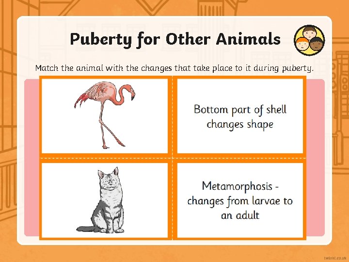 What does Puberty Look Like in other Animals