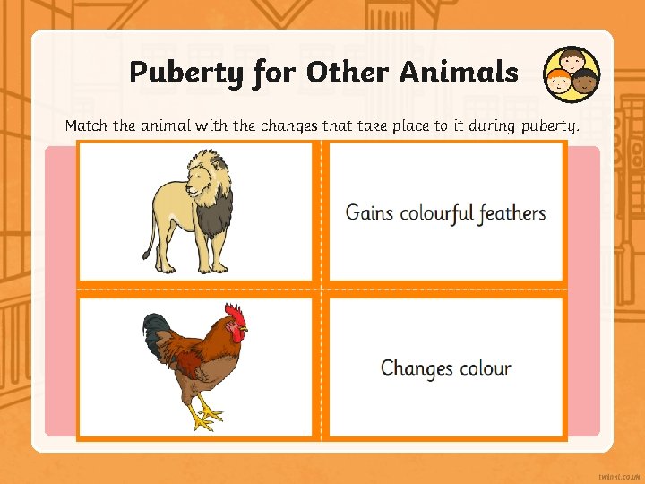 What does Puberty Look Like in other Animals