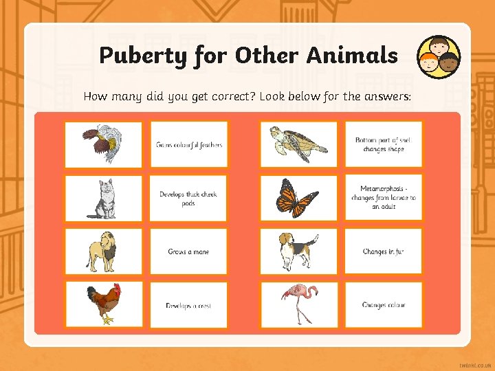 What does Puberty Look Like in other Animals