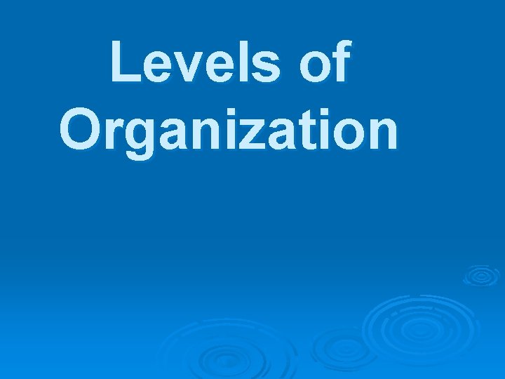 Warm up 1 Topic Levels of Organization Questions