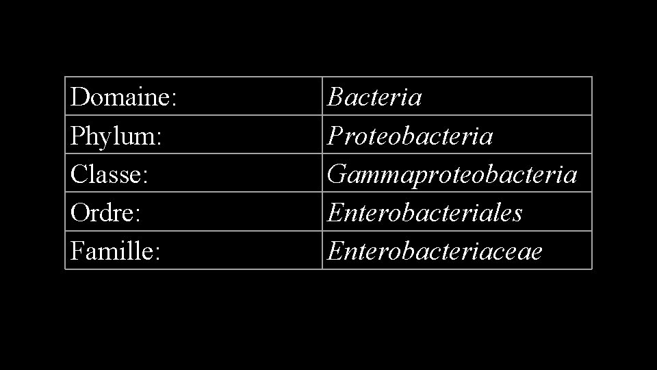Le phylum proteobacteria contient 6 classes Alphaproteobacteria ...