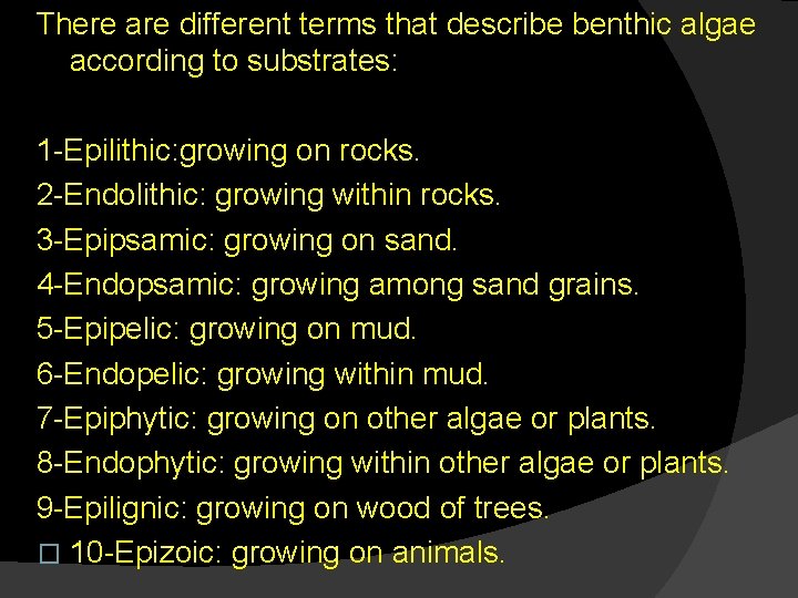 The major factors determining the algae are Nutrients