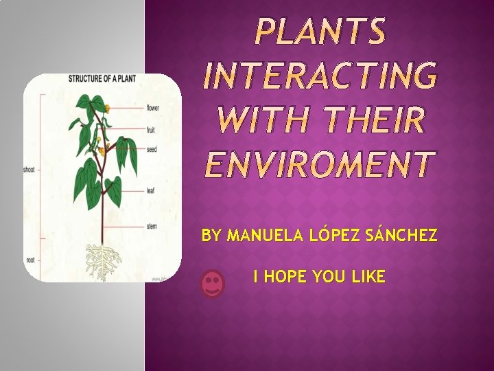 PLANTS INTERACTING WITH THEIR ENVIROMENT BY MANUELA LPEZ