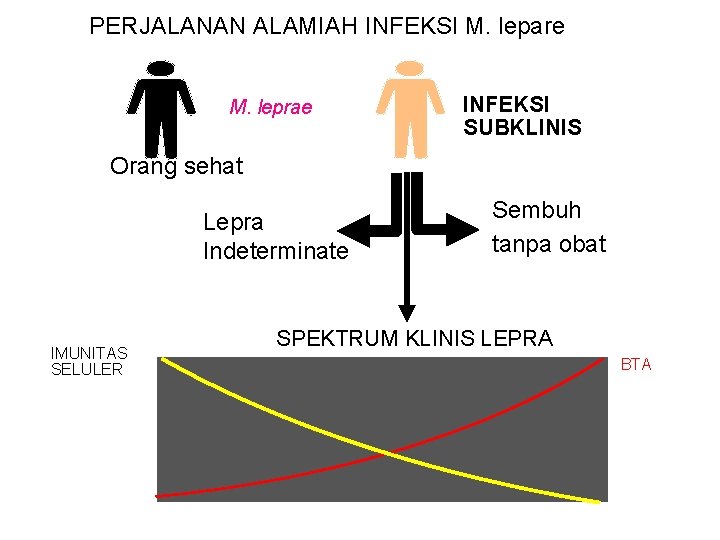 SENSIBILITY DISORDER LEPROSY Seniwaty Ismail Bag IL Kes