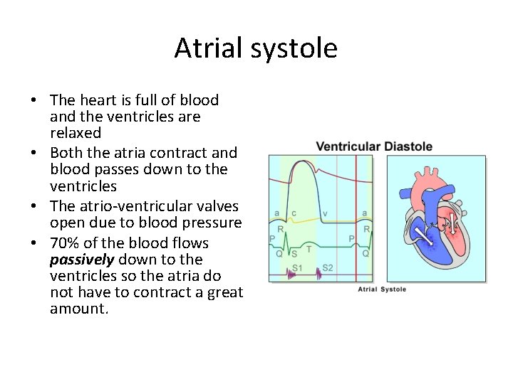 Cardiac Cycle Blood Flow Through Heart Definitions Systole