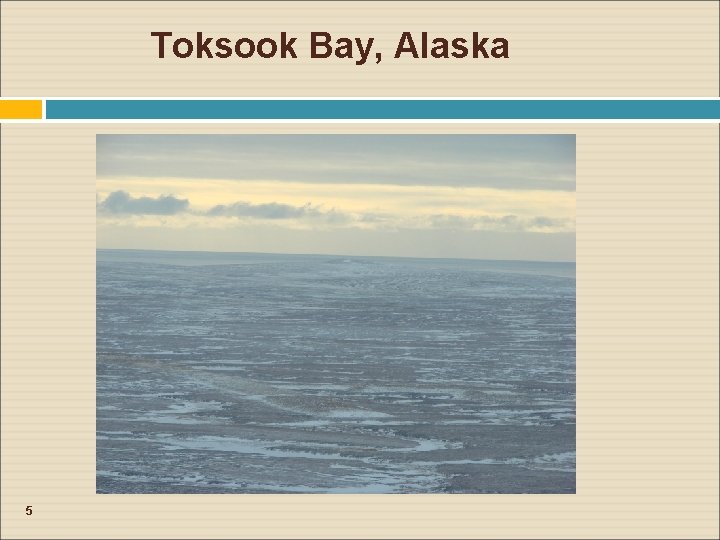 MAKING NATIVES COUNT IN 2020 MEETING THE CHALLENGES