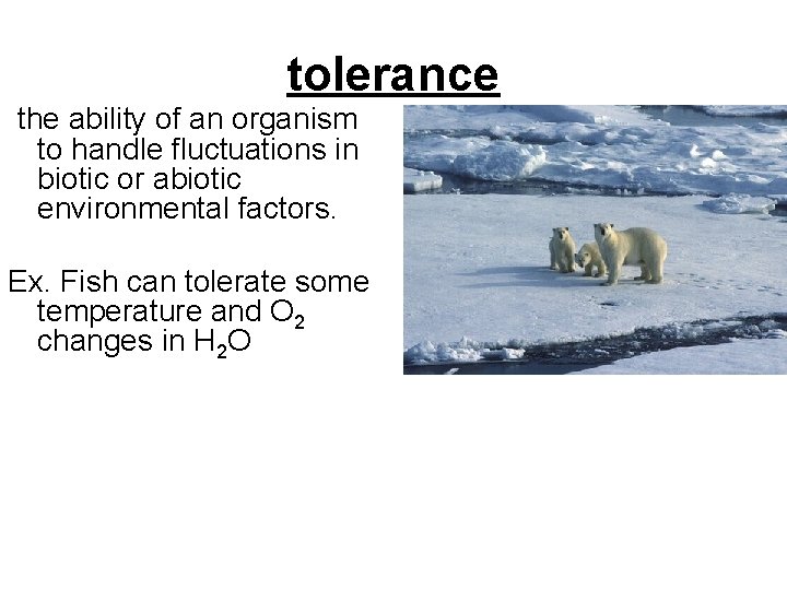 Chapter 3 Communities and Biomes How do communities