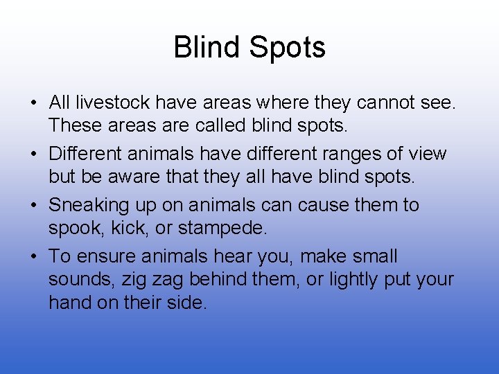 Livestock Safety Terms to Know Blind Spot The