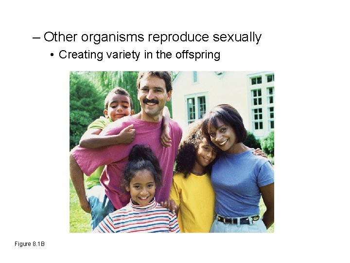 Chapter 8 Cellular Basis of Reproduction and Inheritance