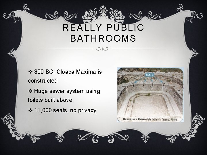 HISTORY OF THE TOILET Reuben Carroll GOING INSIDE