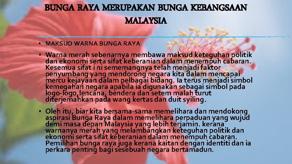 SEJARAH BAHASA MELAYU BAHASA KEBANGSAAN BUNGA KEBANGSAAN DISEDIAKAN