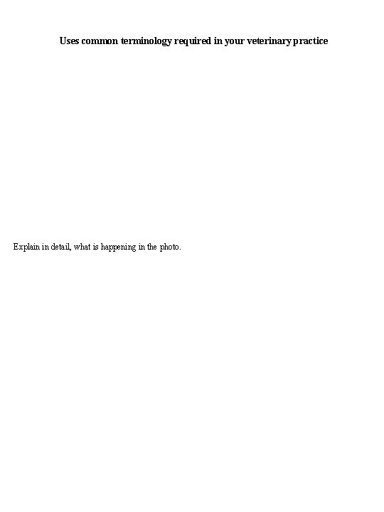 Uses common terminology required in your veterinary practice