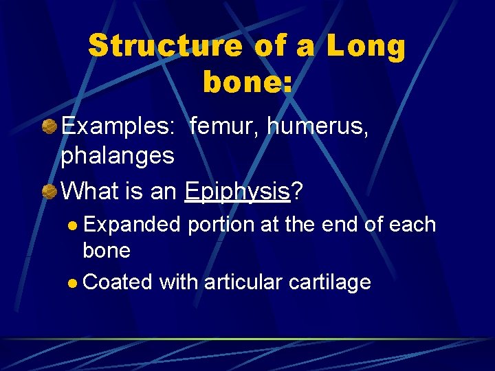 Bone Composition Development 5 functions of bones 1