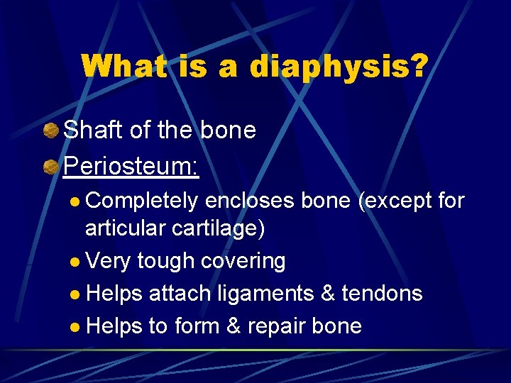 Bone Composition Development 5 functions of bones 1