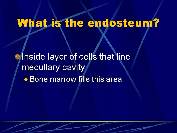 Bone Composition Development 5 functions of bones 1