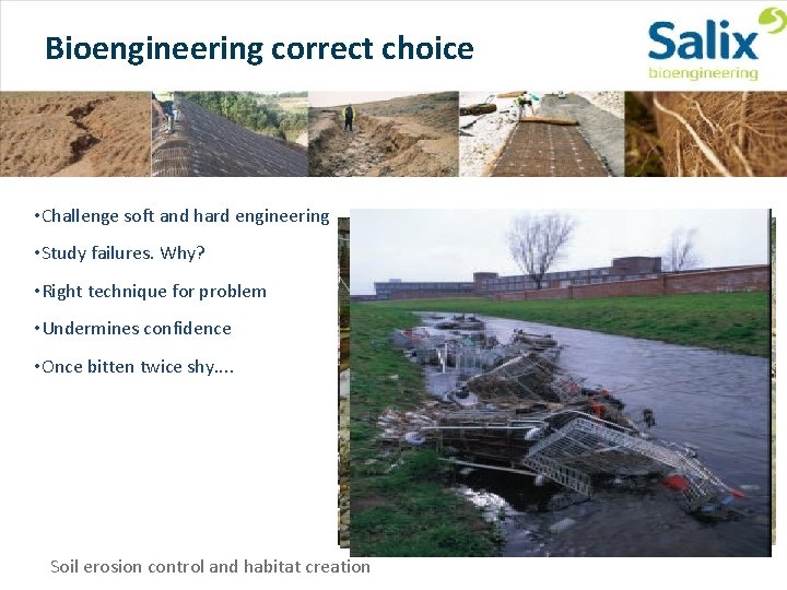 Welcome to Salix Bioengineering the use of vegetation