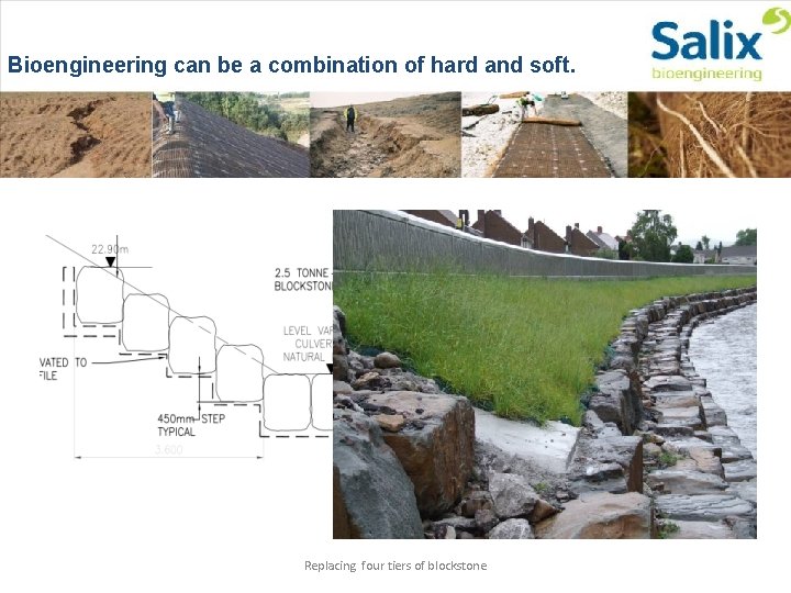 Welcome to Salix Bioengineering the use of vegetation