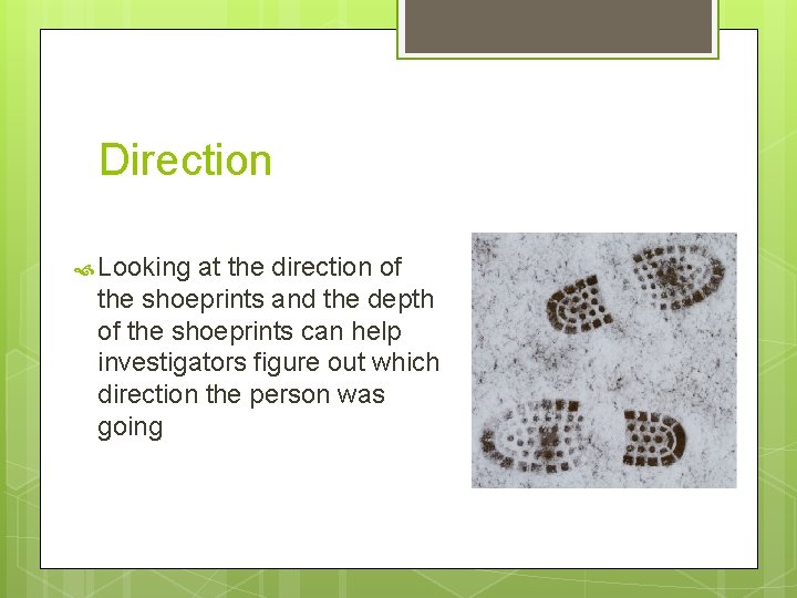Identifying shoeprints FootprintsShoe Prints Things you can learn
