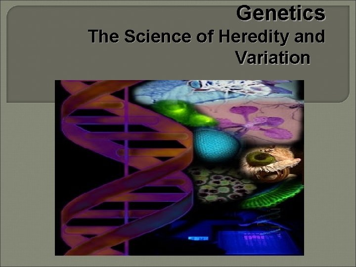 Genetics The Science of Heredity and Variation 1