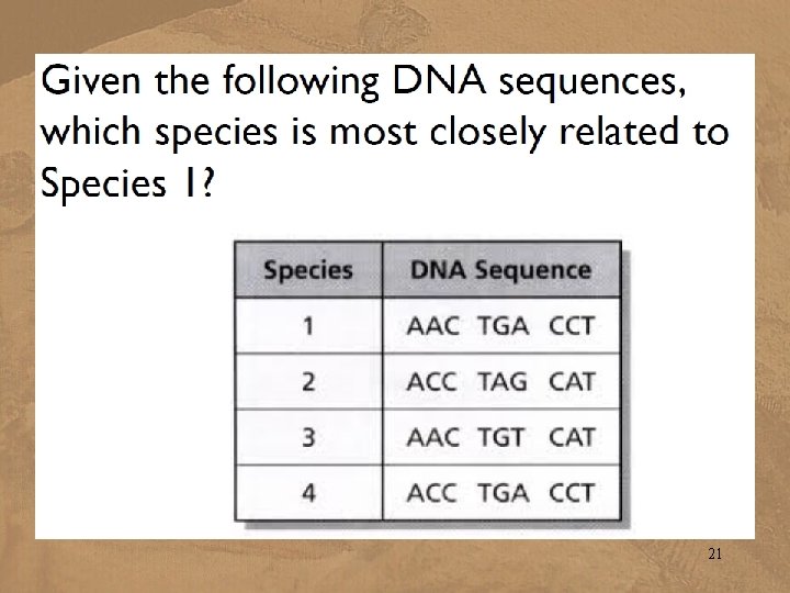 Evidence for Evolution 1 Evidence of common ancestry