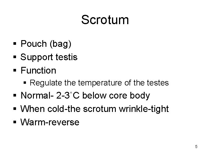 The Reproductive System Similarities and differences between males