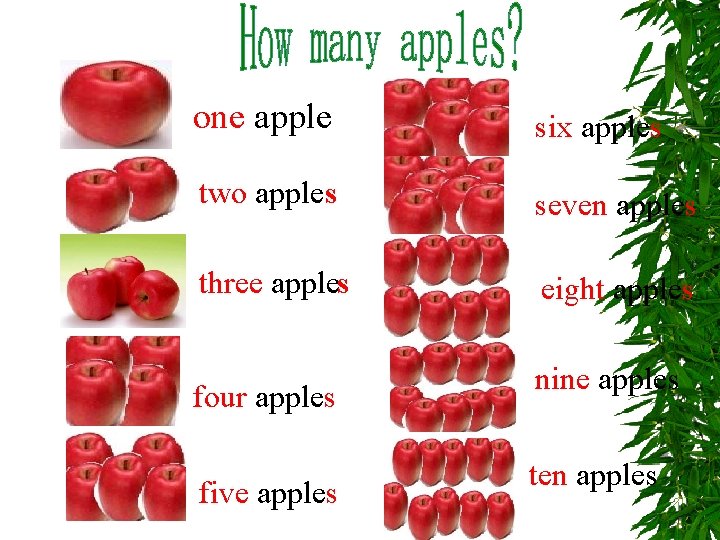 Unit 4 Lesson 27 Vegetables and Fruit Lesson