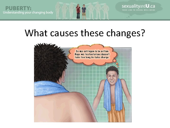Here we will talk about What is puberty