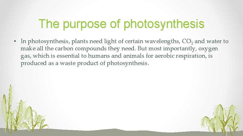 Photosynthesis Subtopic 2 9 Essential Idea Photosynthesis uses
