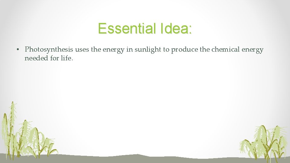 Photosynthesis Subtopic 2 9 Essential Idea Photosynthesis uses