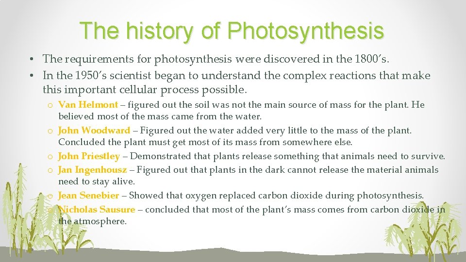 Photosynthesis Subtopic 2 9 Essential Idea Photosynthesis uses