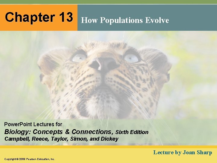 Chapter 13 How Populations Evolve Power Point Lectures
