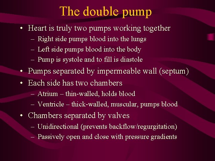 Heart Pulses Jennifer Coleman MSN Health Assessment Circulation