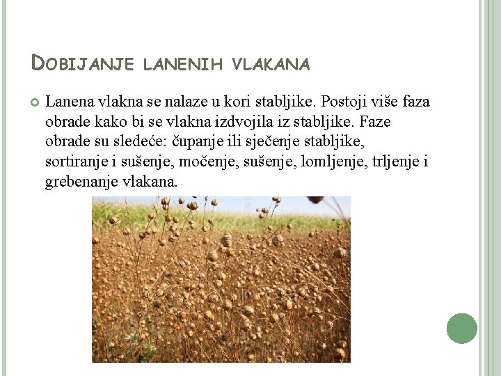 LAN I KONOPLJA LAN ISTORIJAT GAJENJA LANA Lan