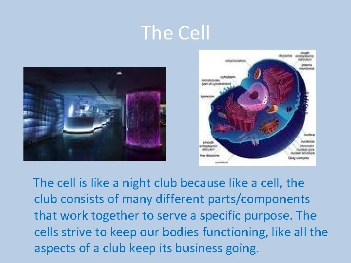CELLS The Cell The cell is like a
