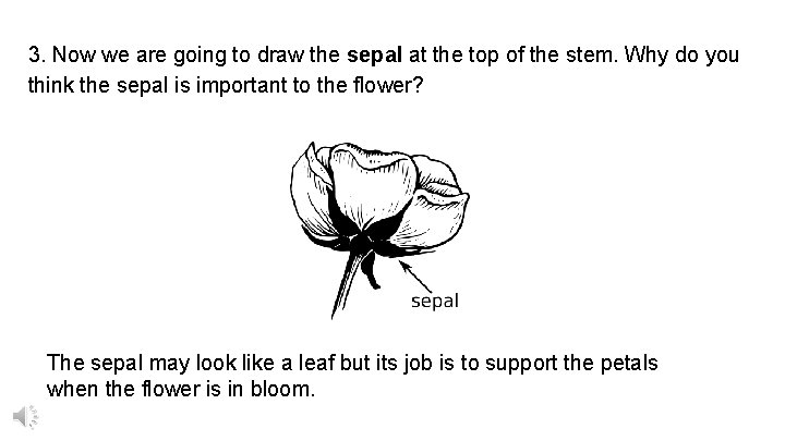 StepbySTep Guide to Drawing the different parts of