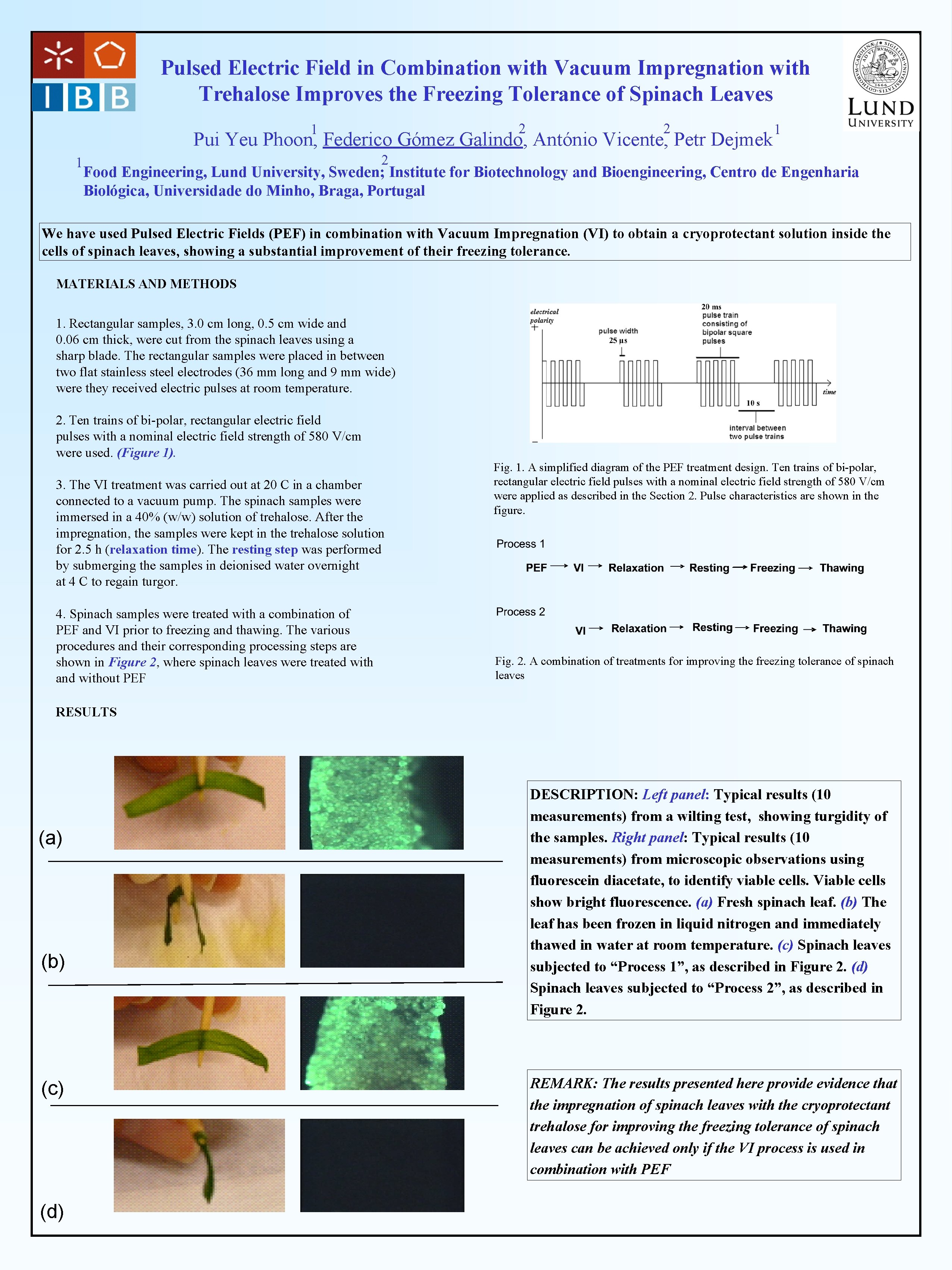 Pulsed Electric Field in Combination with Vacuum Impregnation