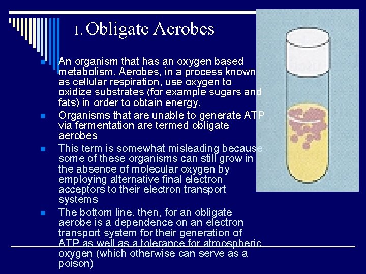 Bacterial Culturing Concepts and Techniques Lab Safety and