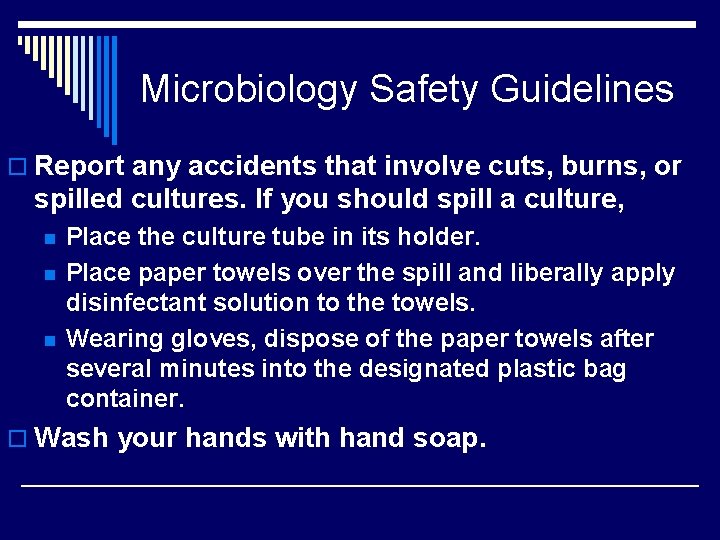 Bacterial Culturing Concepts and Techniques Lab Safety and