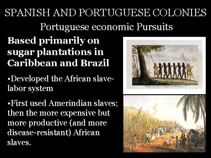 SPANISH AND PORTUGUESE COLONIES Economic oppression techniques Economic